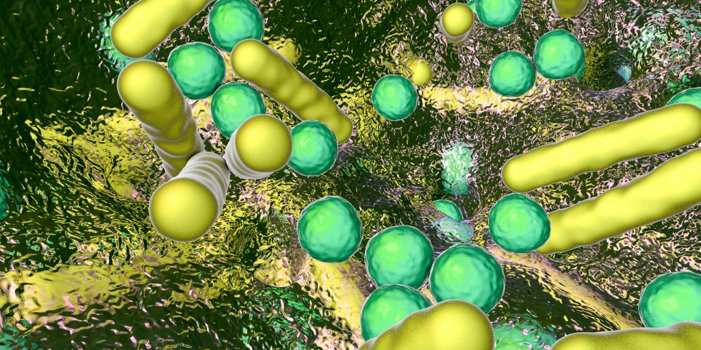 The role of microbial cooperation in the development of higher level ...